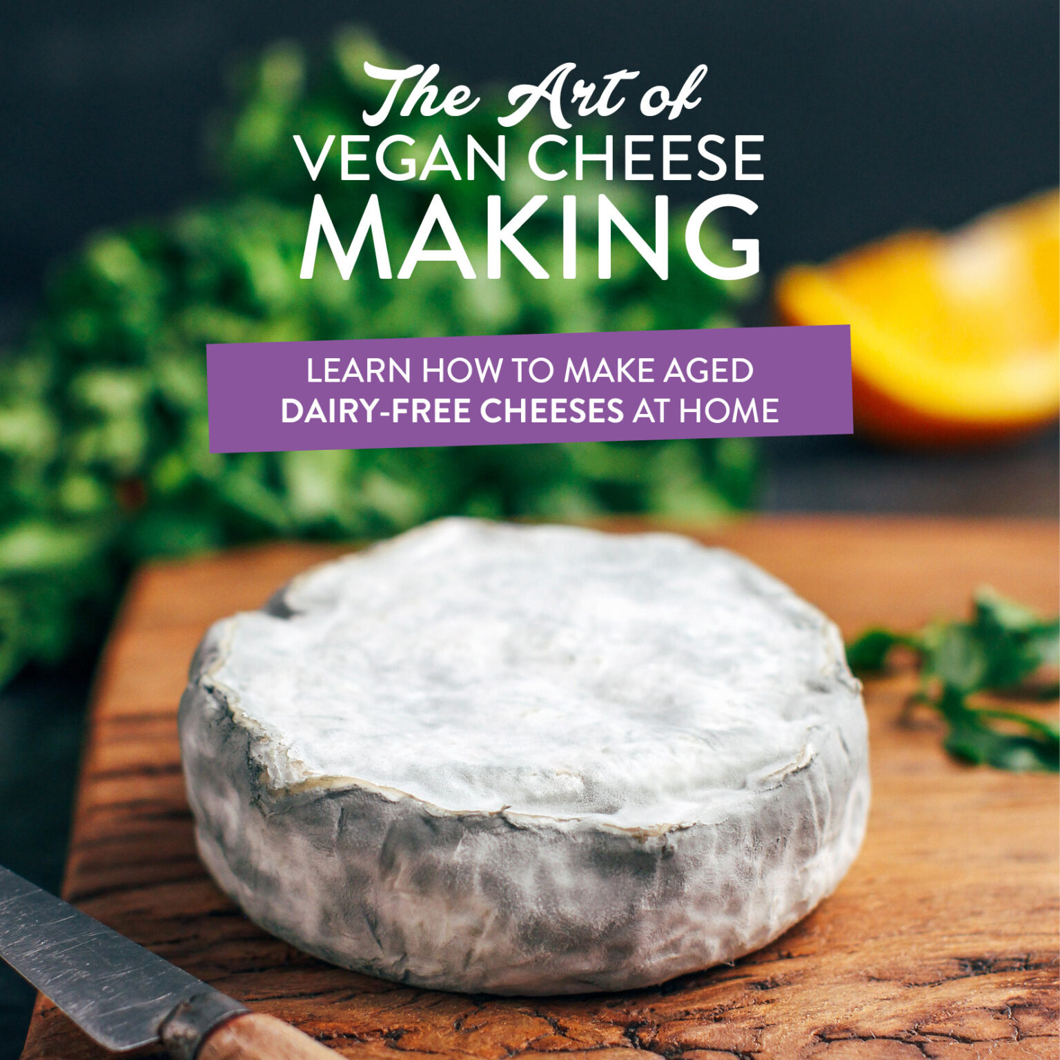Vegan Cheese Recipes - Full of Plants