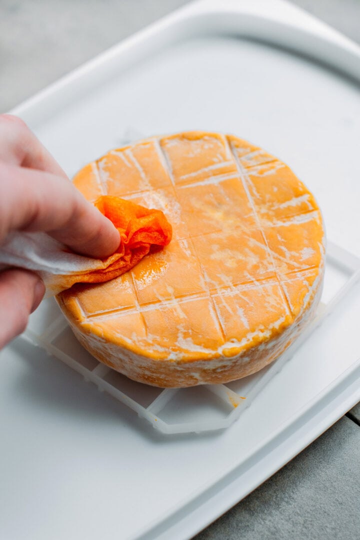 Vegan Washed-Rind Cheese - Full of Plants