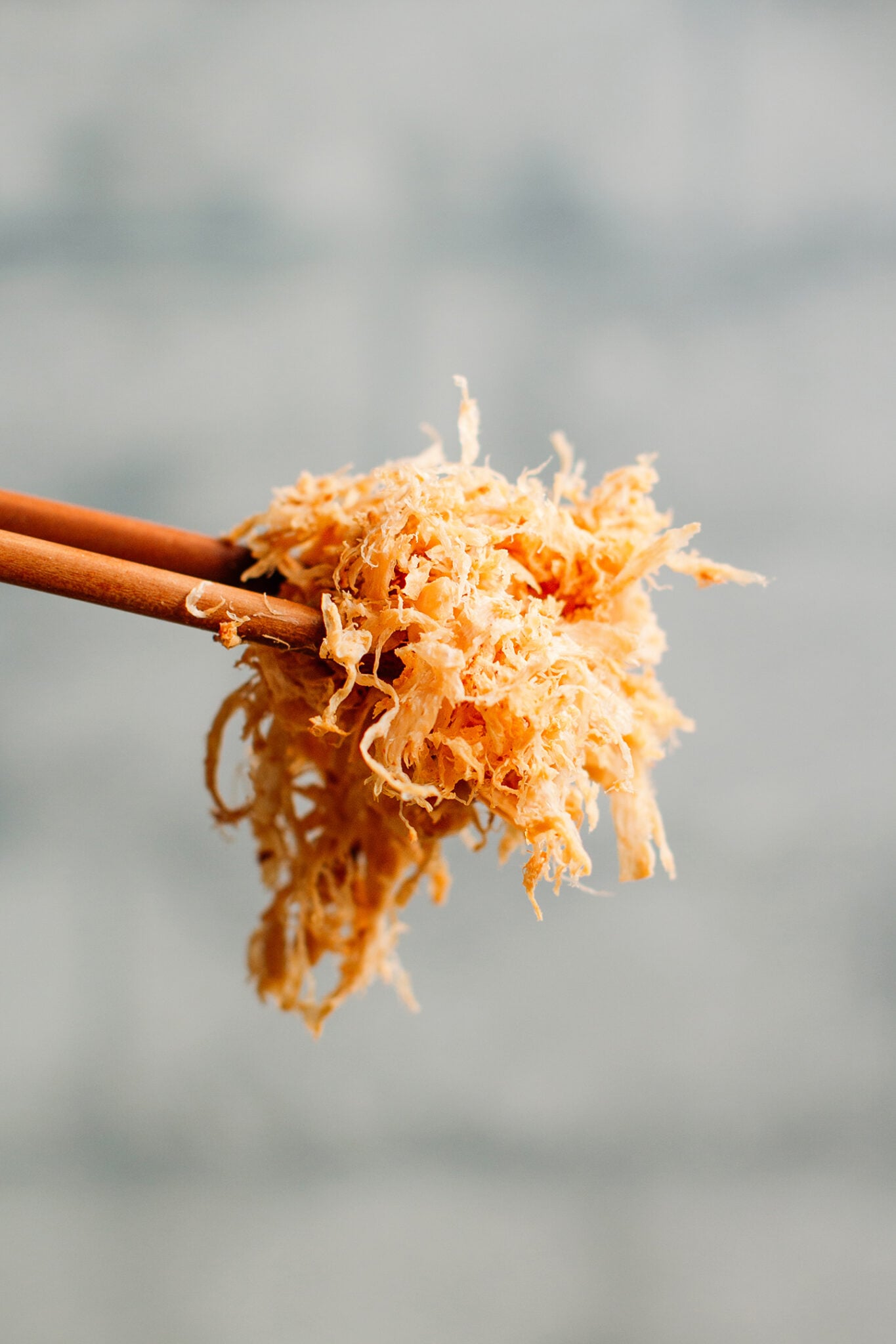 Vegan Meat Floss - Full of Plants