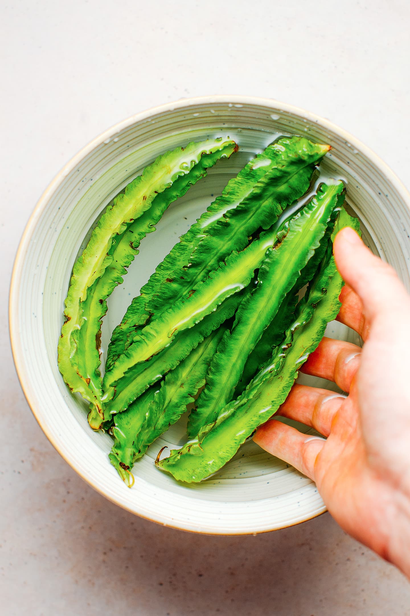 What are Winged Beans - Full of Plants