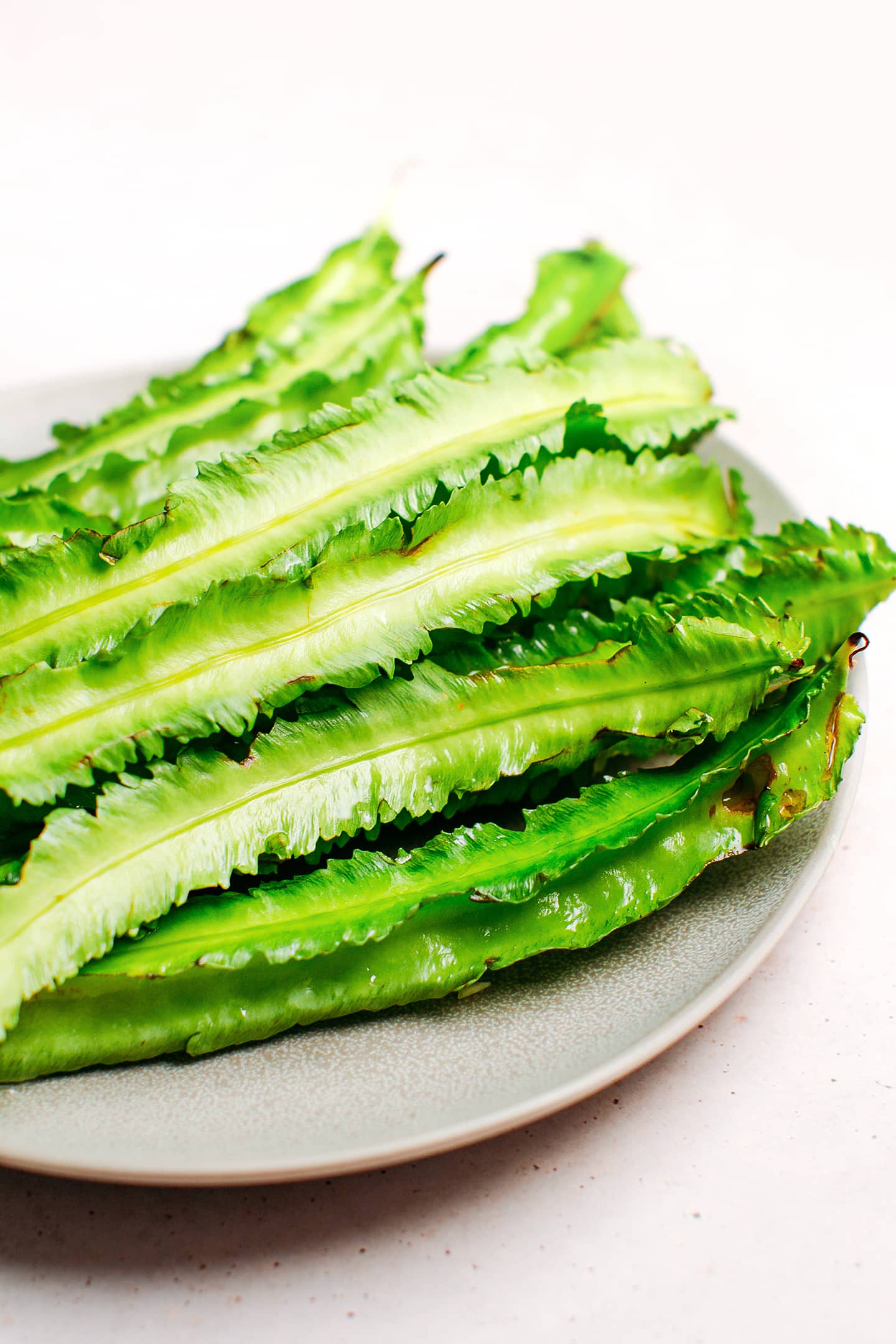 What are Winged Beans - Full of Plants