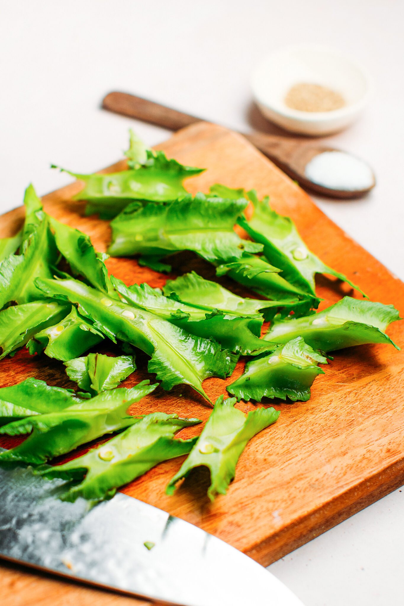 What are Winged Beans - Full of Plants