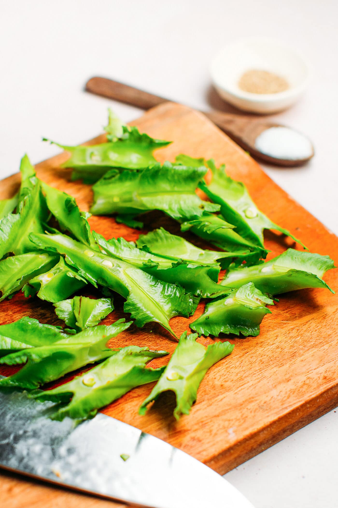 What are Winged Beans - Full of Plants