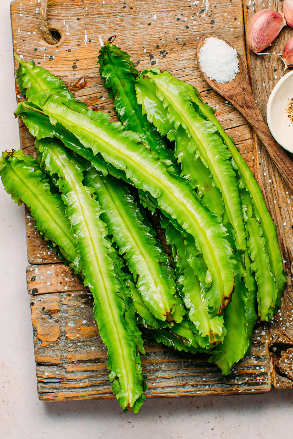 What are Winged Beans - Full of Plants