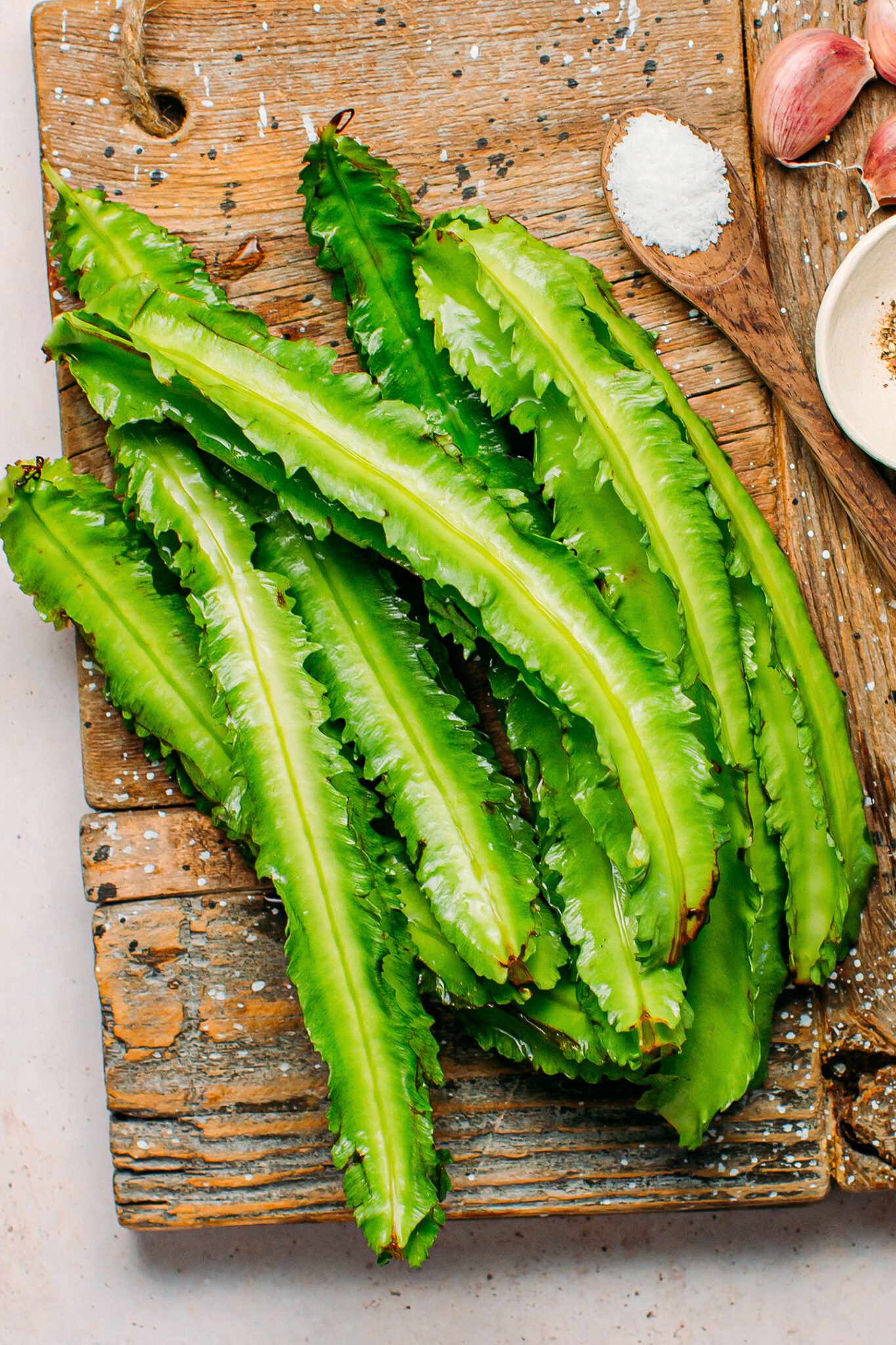 What are Winged Beans - Full of Plants