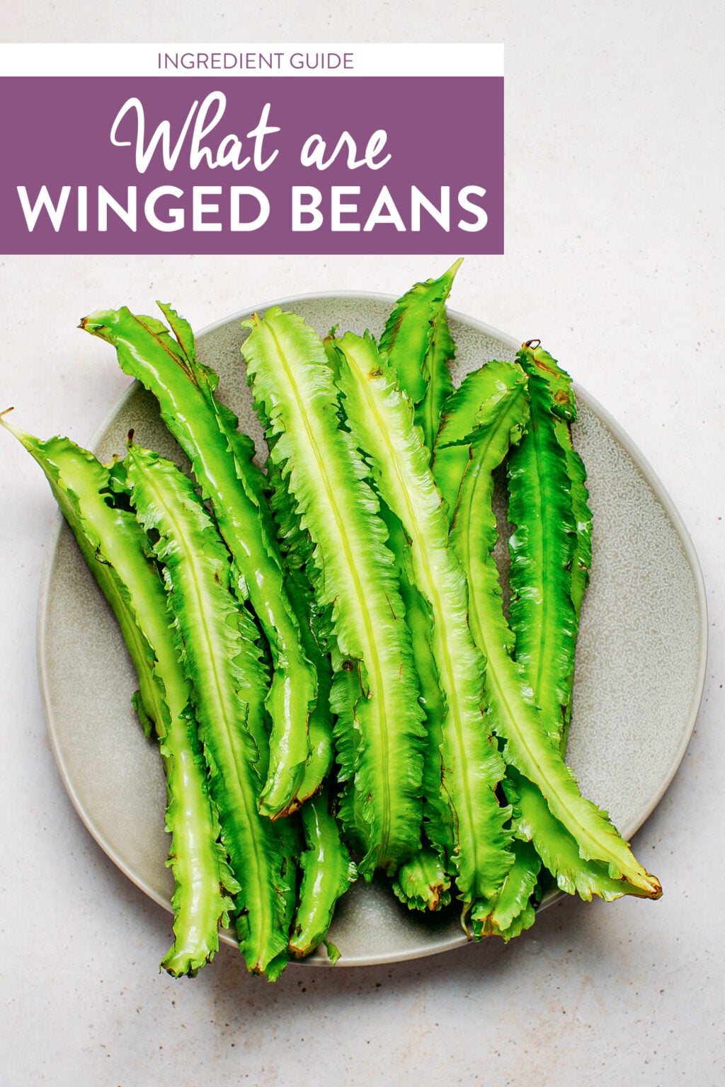 What are Winged Beans - Full of Plants